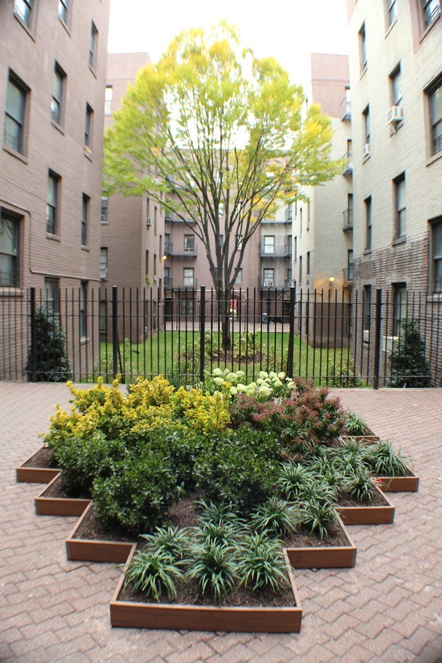 Cosmopolitan Houses :: Douglas Elliman Property Management