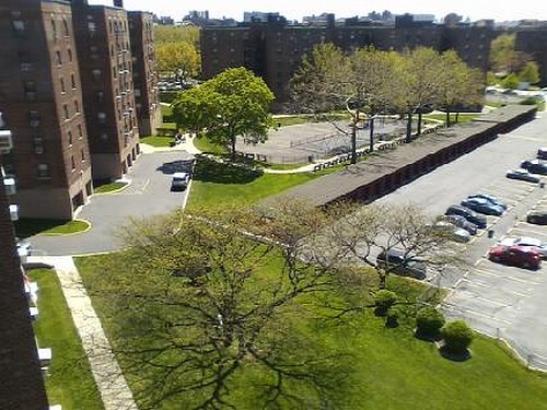 Baisley Park Gardens Application | Fasci Garden